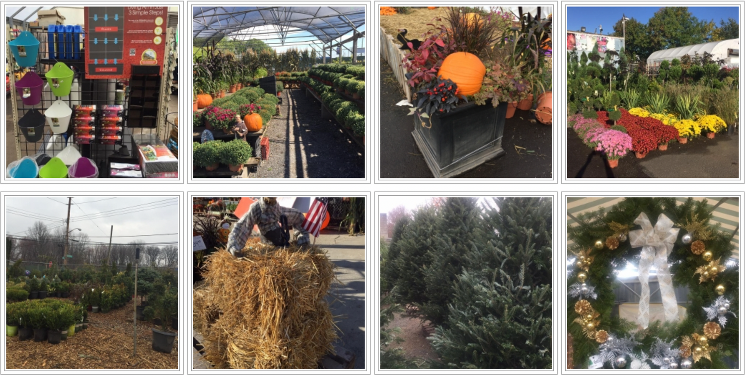 GALLERY – Sweetbrook Nursery & Garden Center